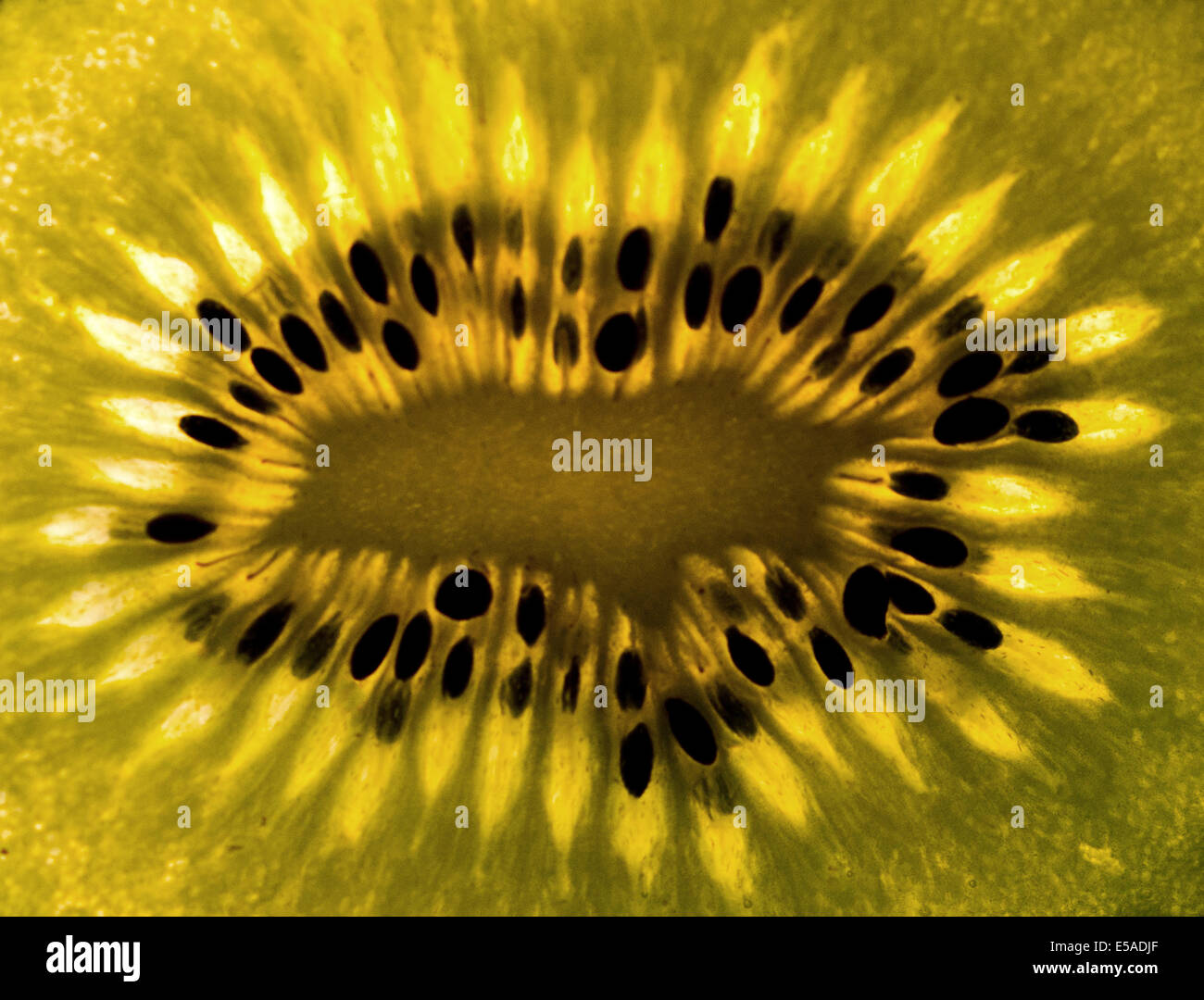 Kiwi fruit close up hi-res stock photography and images - Alamy
