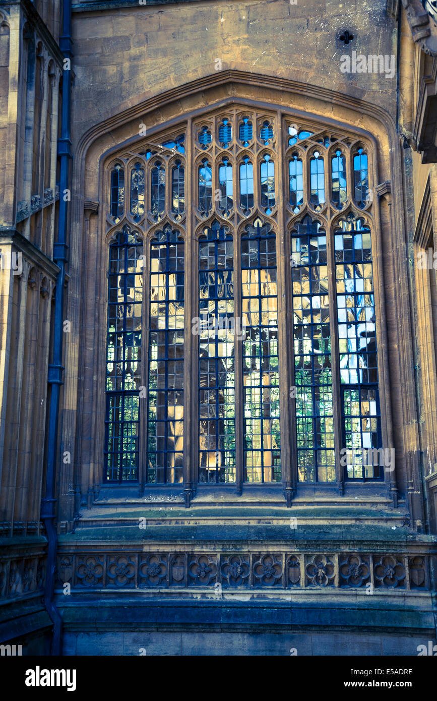 Divinity School, Gothic window, Bodleian Library, Oxford, England, UK ...