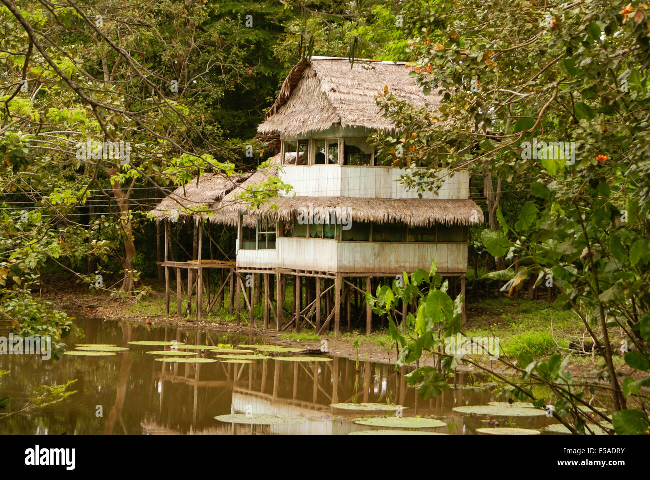Peru, Peruvian Amazonas landscape. The photo present typical indian ...