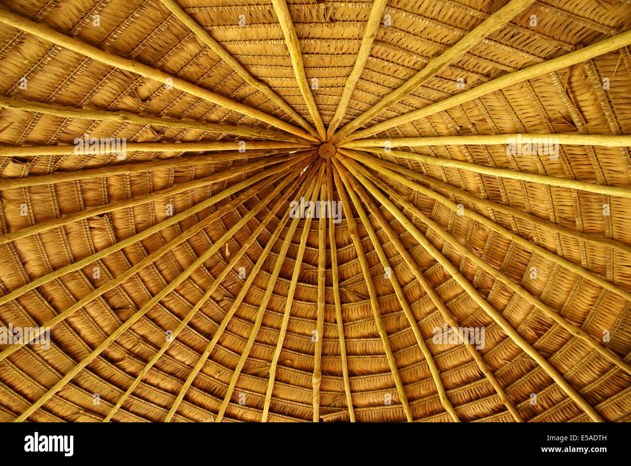 Peru, Peruvian Amazonas landscape. The photo present typical indian ...