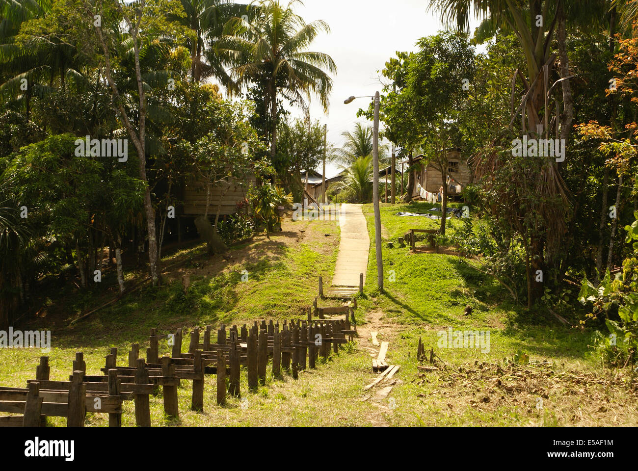 Peru, Peruvian Amazonas landscape. The photo present typical indian ...