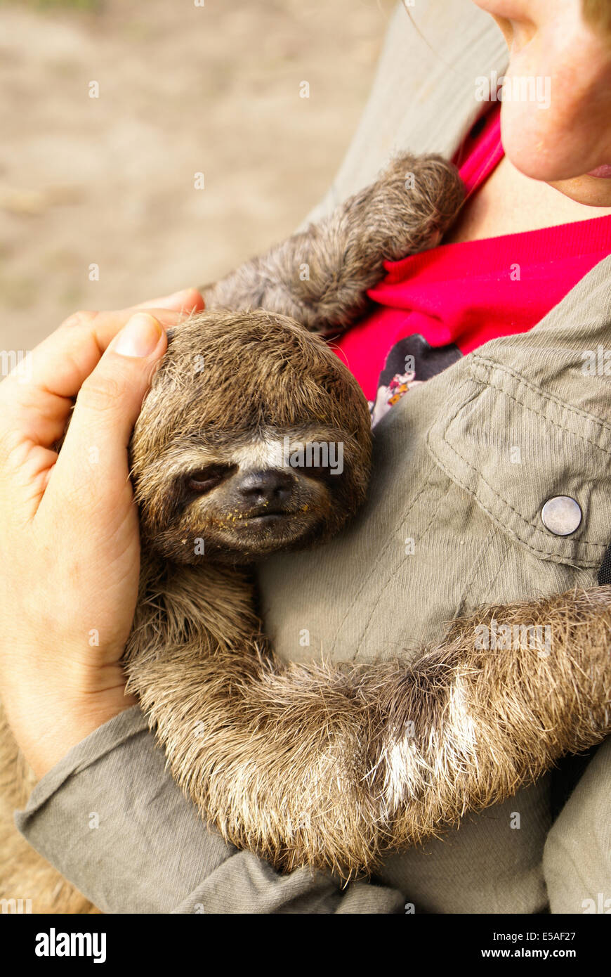 Central iquitos hi-res stock photography and images - Alamy