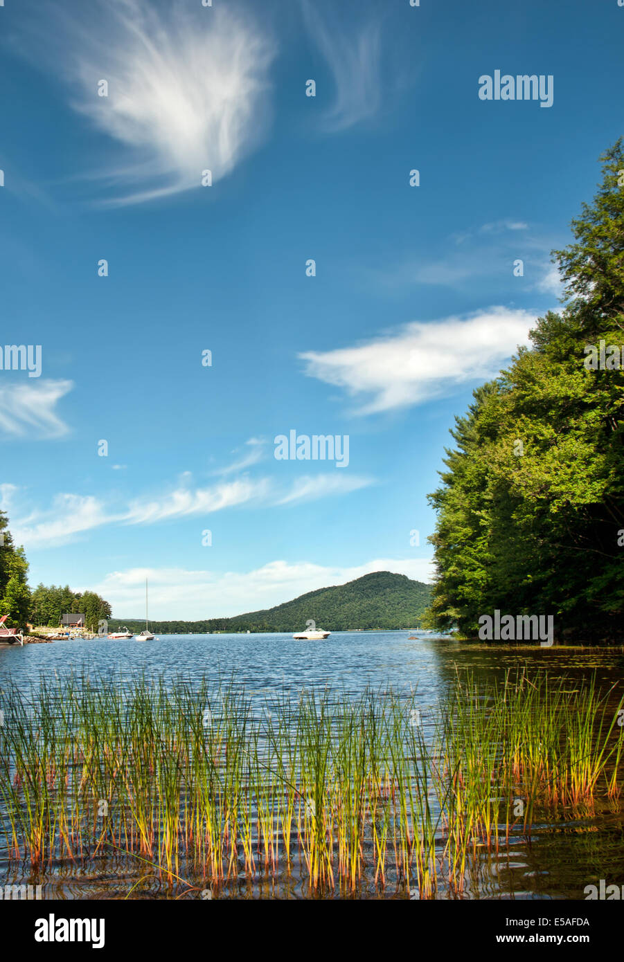 Oxbow lake hi-res stock photography and images - Alamy