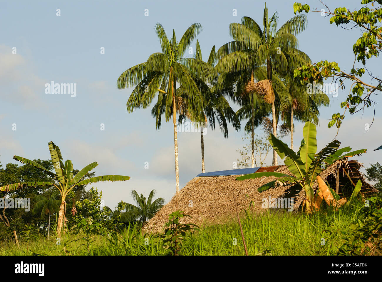 Peru, Peruvian Amazonas landscape. The photo present typical indian ...