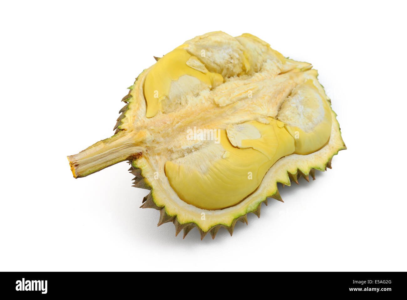 peeled durian isolated on white Stock Photo - Alamy