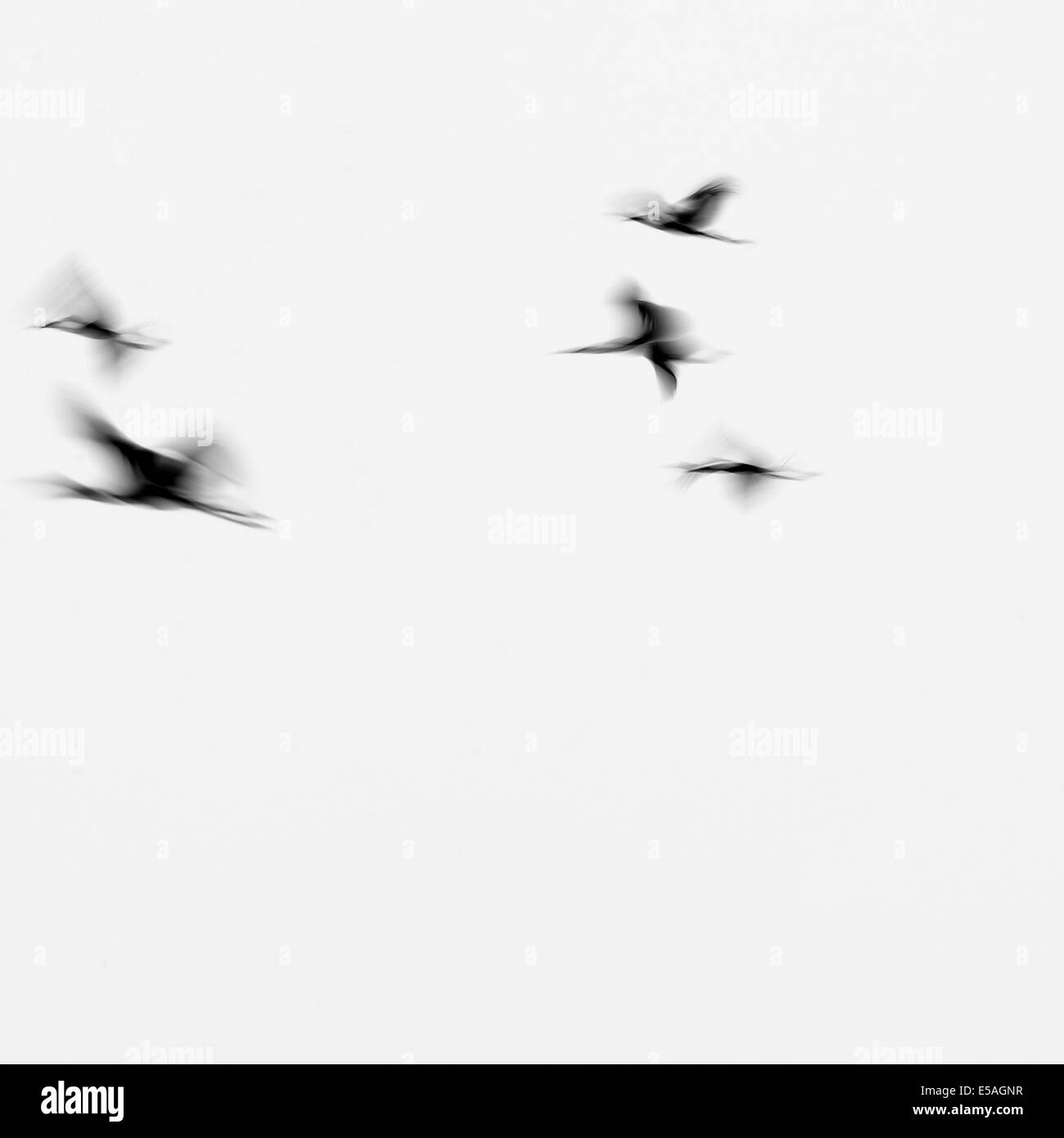 Abstract nature art hi-res stock photography and images - Alamy