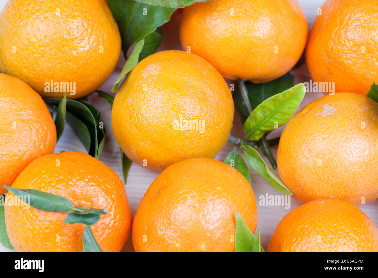 Clementines leaf hi-res stock photography and images - Alamy