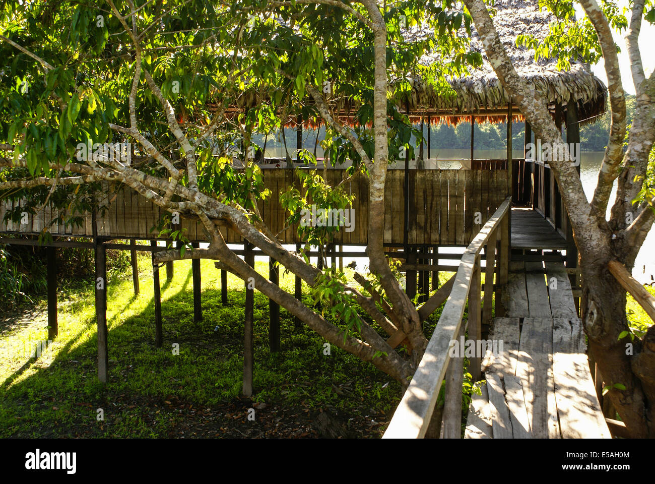 Peru, Peruvian Amazonas landscape. The photo present typical indian ...