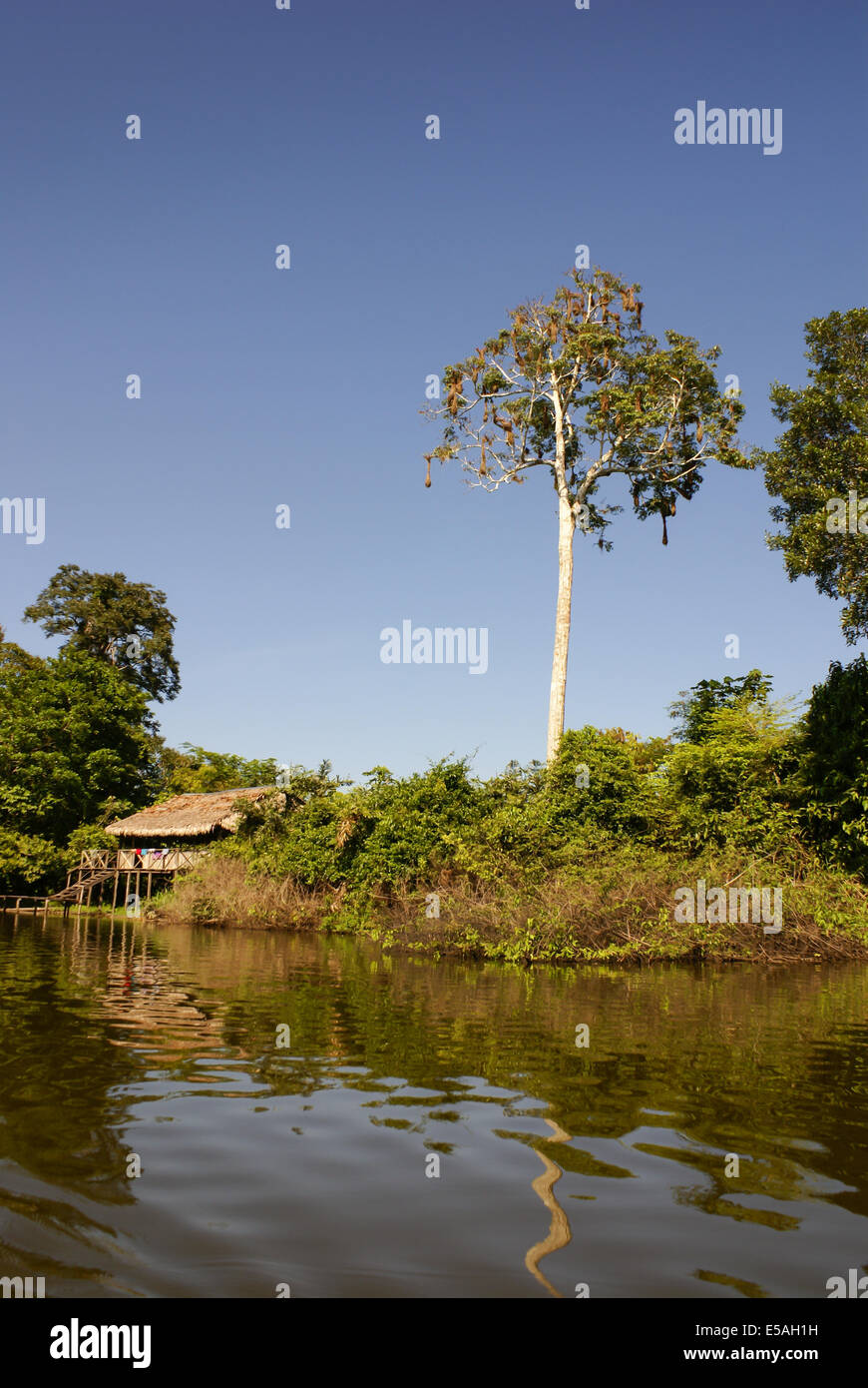 Peru, Peruvian Amazonas landscape. The photo present typical indian ...