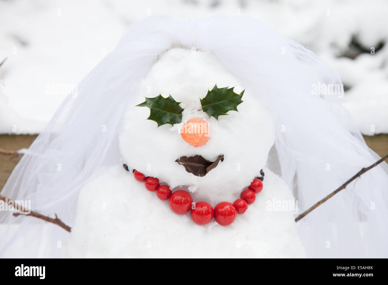 Frozen Bride High Resolution Stock Photography and Images - Alamy
