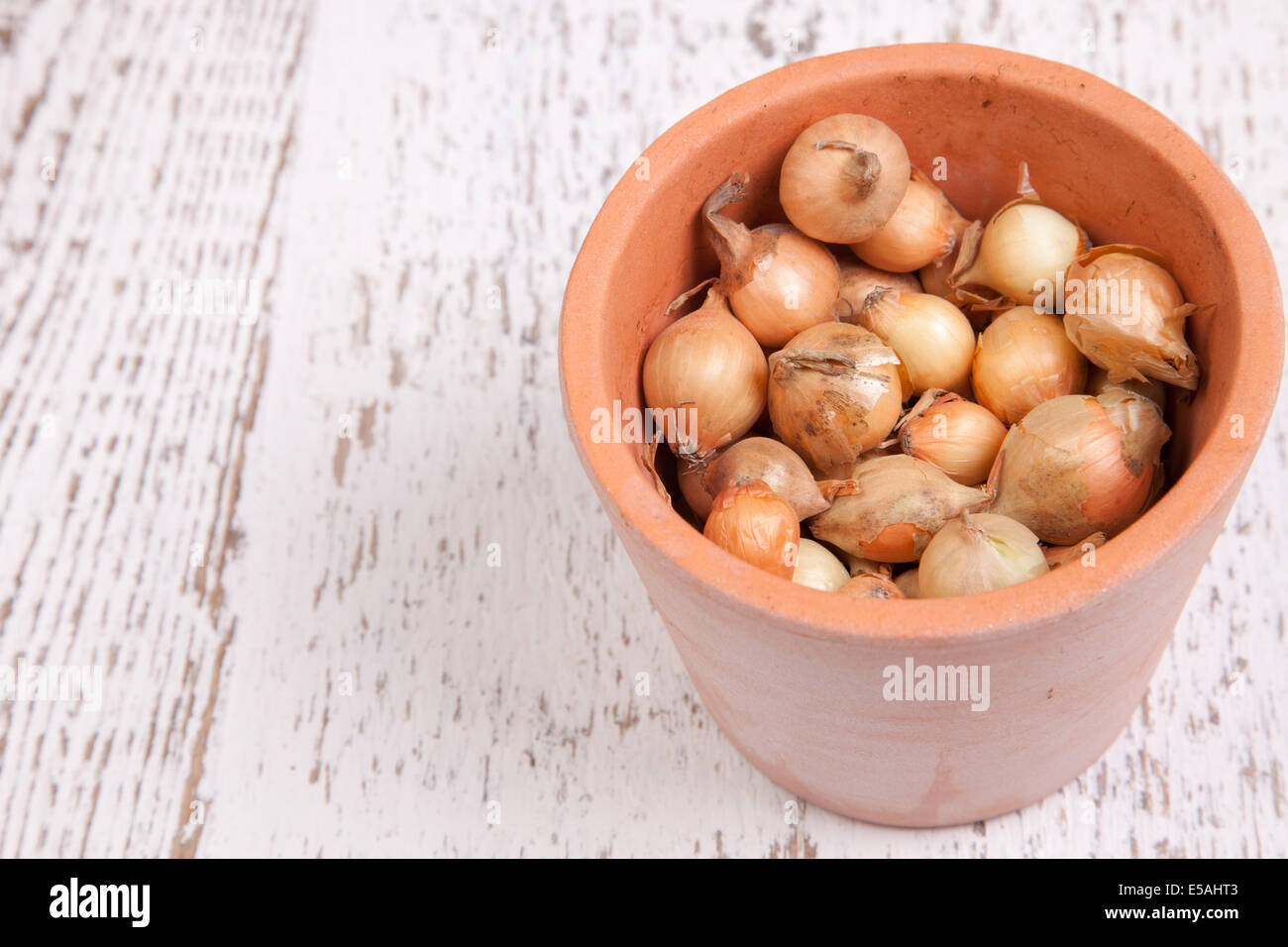 Raw onion seeds on hi-res stock photography and images - Alamy