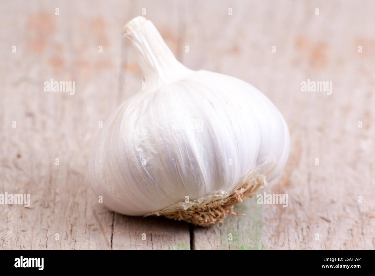 single garlic on the rough wood Stock Photo - Alamy