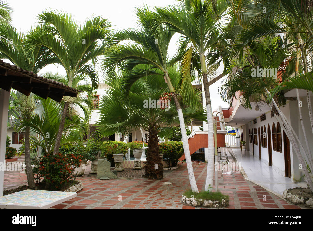 Garden view with trees, patio in summer resort (Tolu,Colombia Stock ...