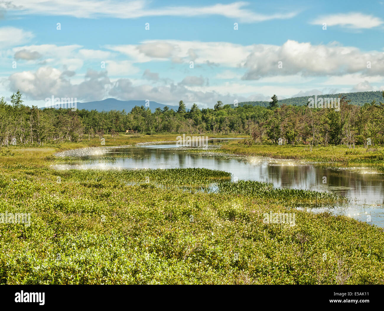 The Adirondack State Park off Route 8 near Oxbow Lake Stock Photo - Alamy
