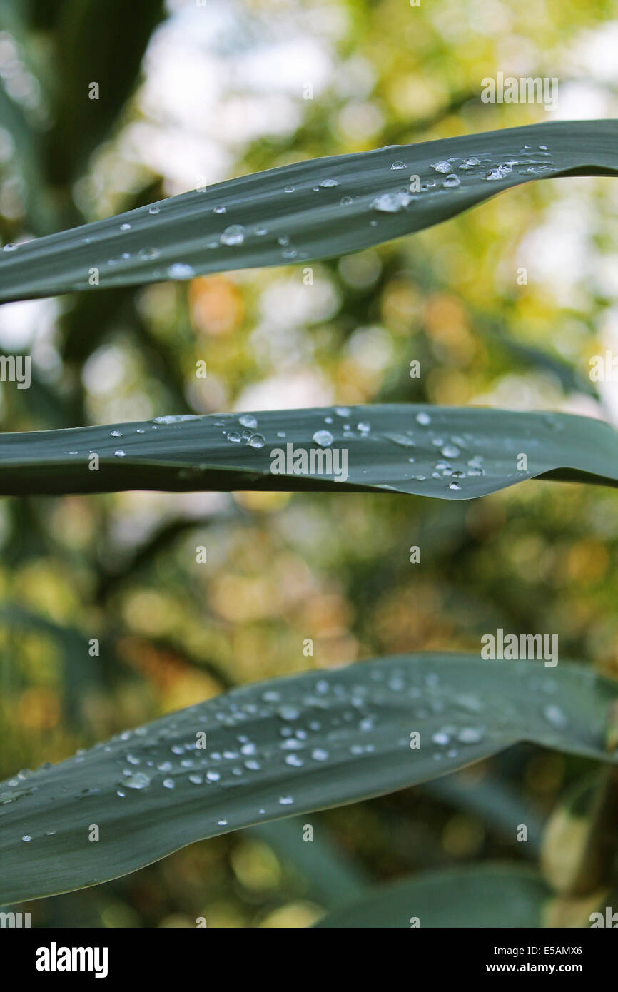 Drop shadow effect hi-res stock photography and images - Alamy