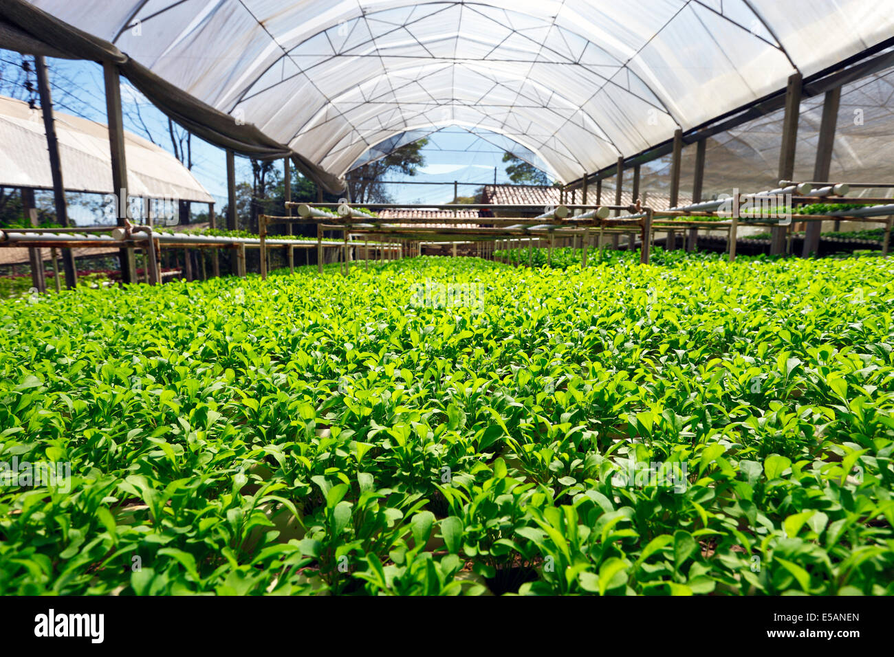 Col production hi-res stock photography and images - Alamy