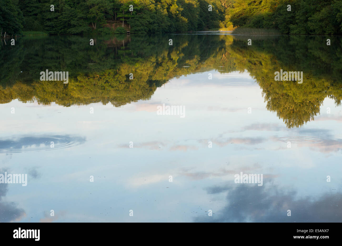Reflections in a pool hi-res stock photography and images - Alamy