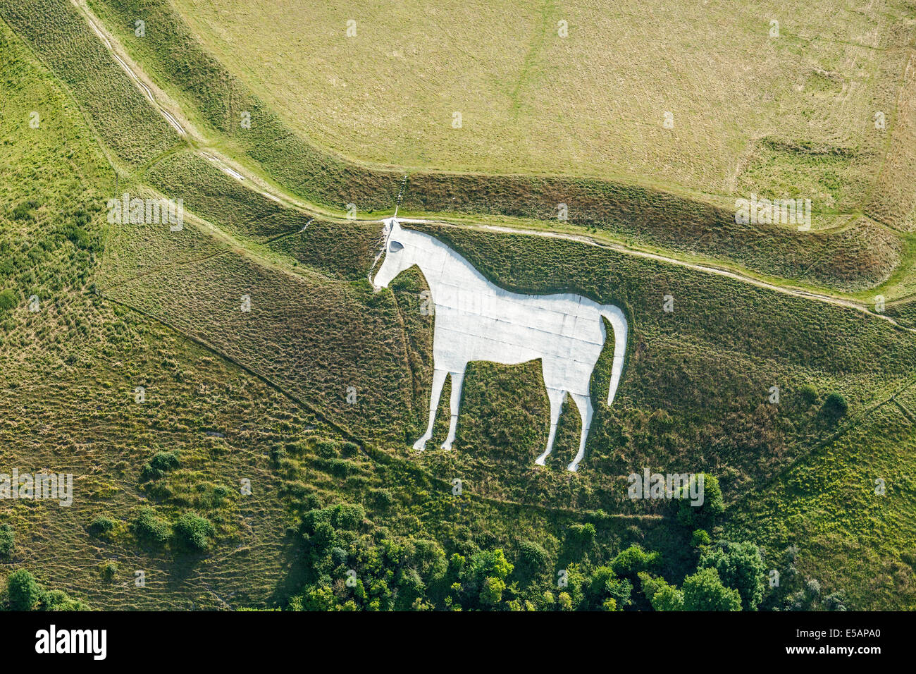 Aerial view Westbury White Horse at Bratton Camp, Wiltshire, UK ...