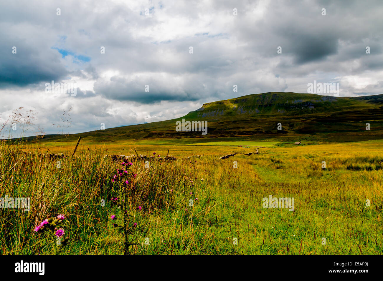 national park landscape Stock Photo - Alamy