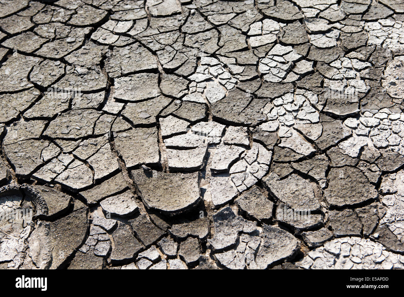 Drying mud hi-res stock photography and images - Alamy