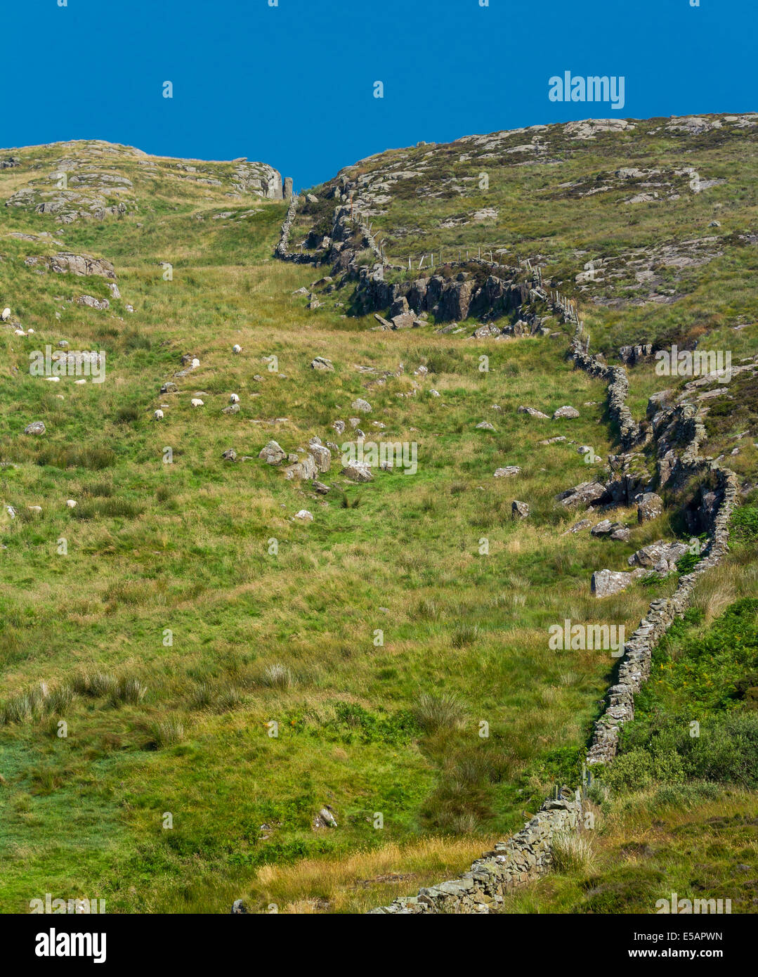 Stone Wall bordering The Grey Man's Path Fair Head Co Antrim Northern ...