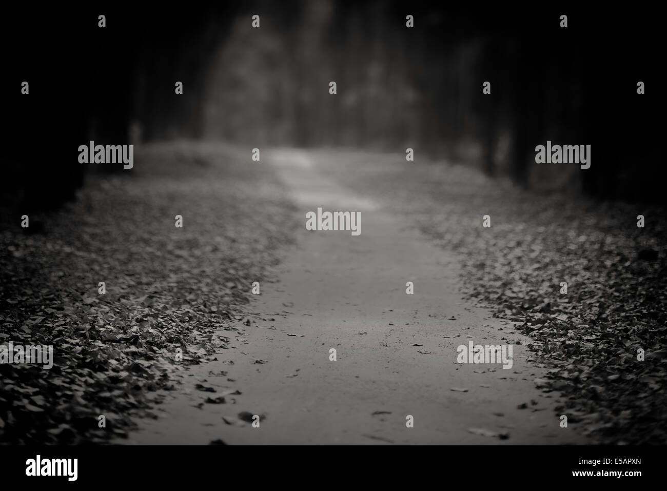 Path abstract art hi-res stock photography and images - Alamy