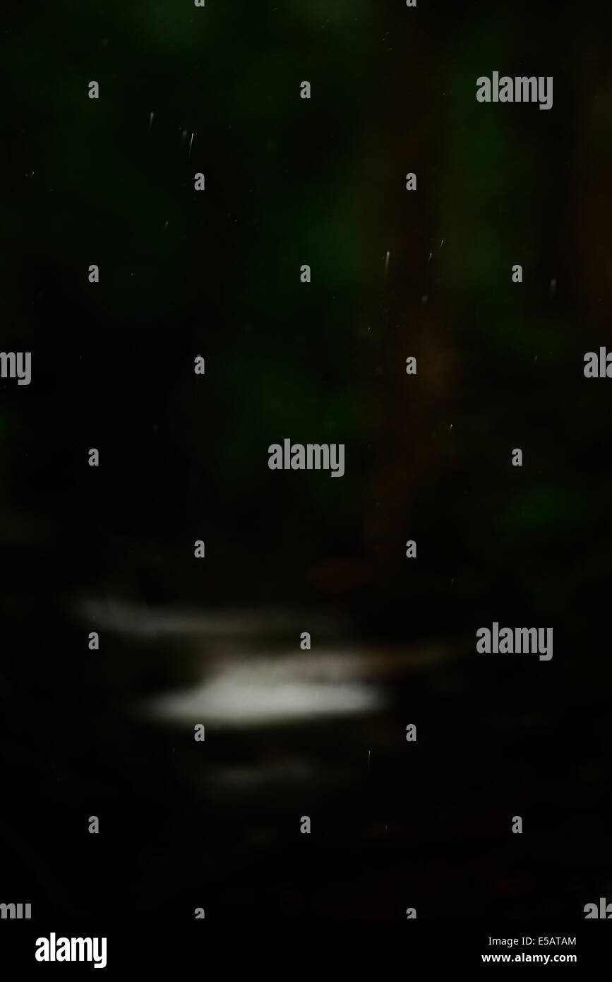 Abstract Nature Art Stock Photo - Alamy