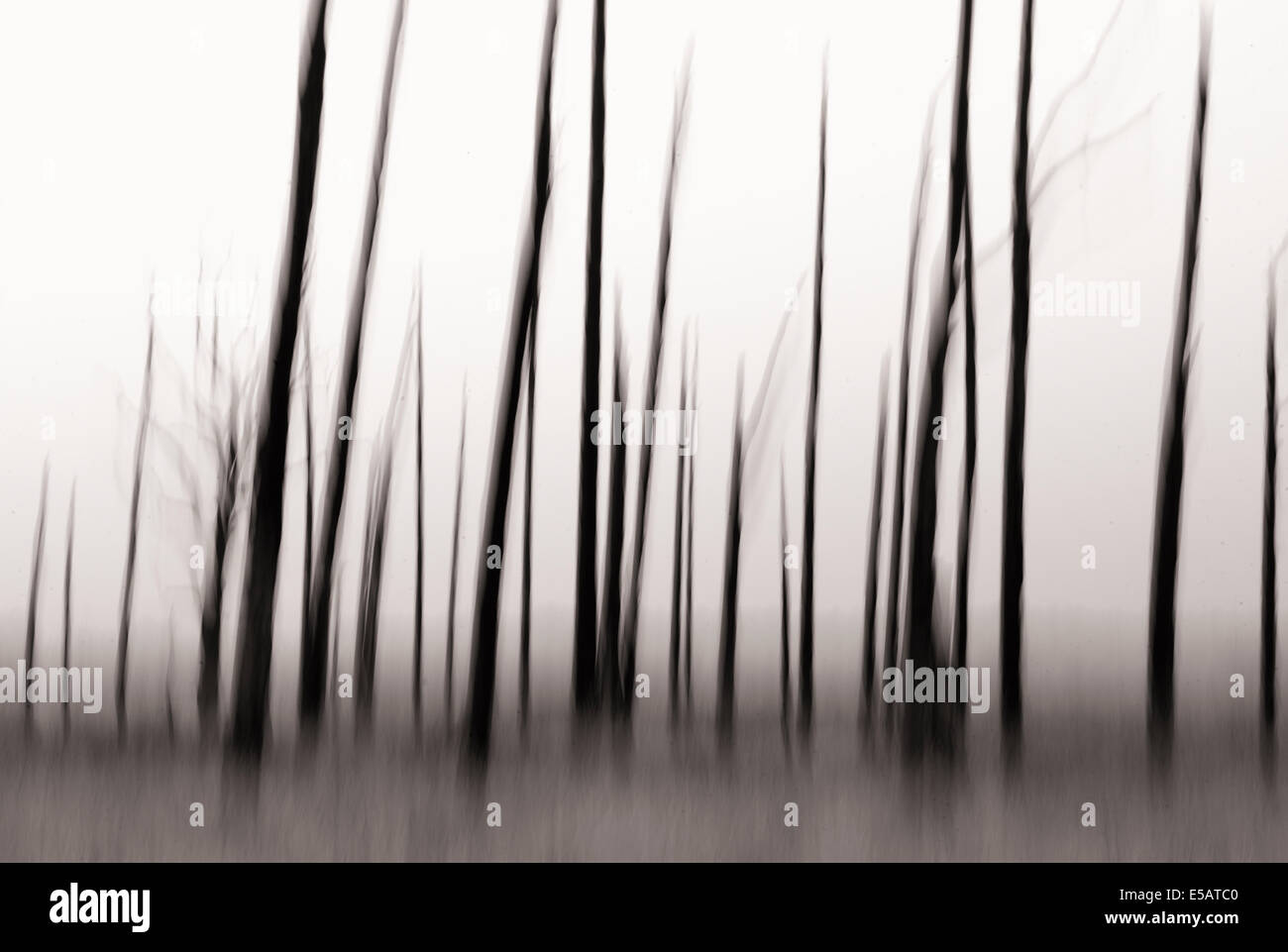 Abstract nature art hi-res stock photography and images - Alamy