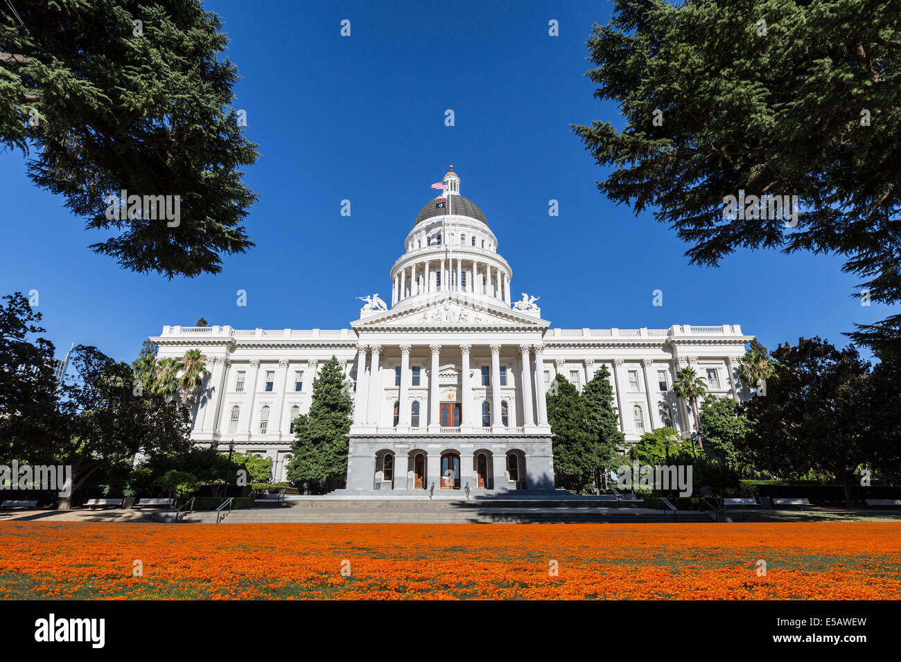 California state capitol building with poppy field Stock Photo - Alamy