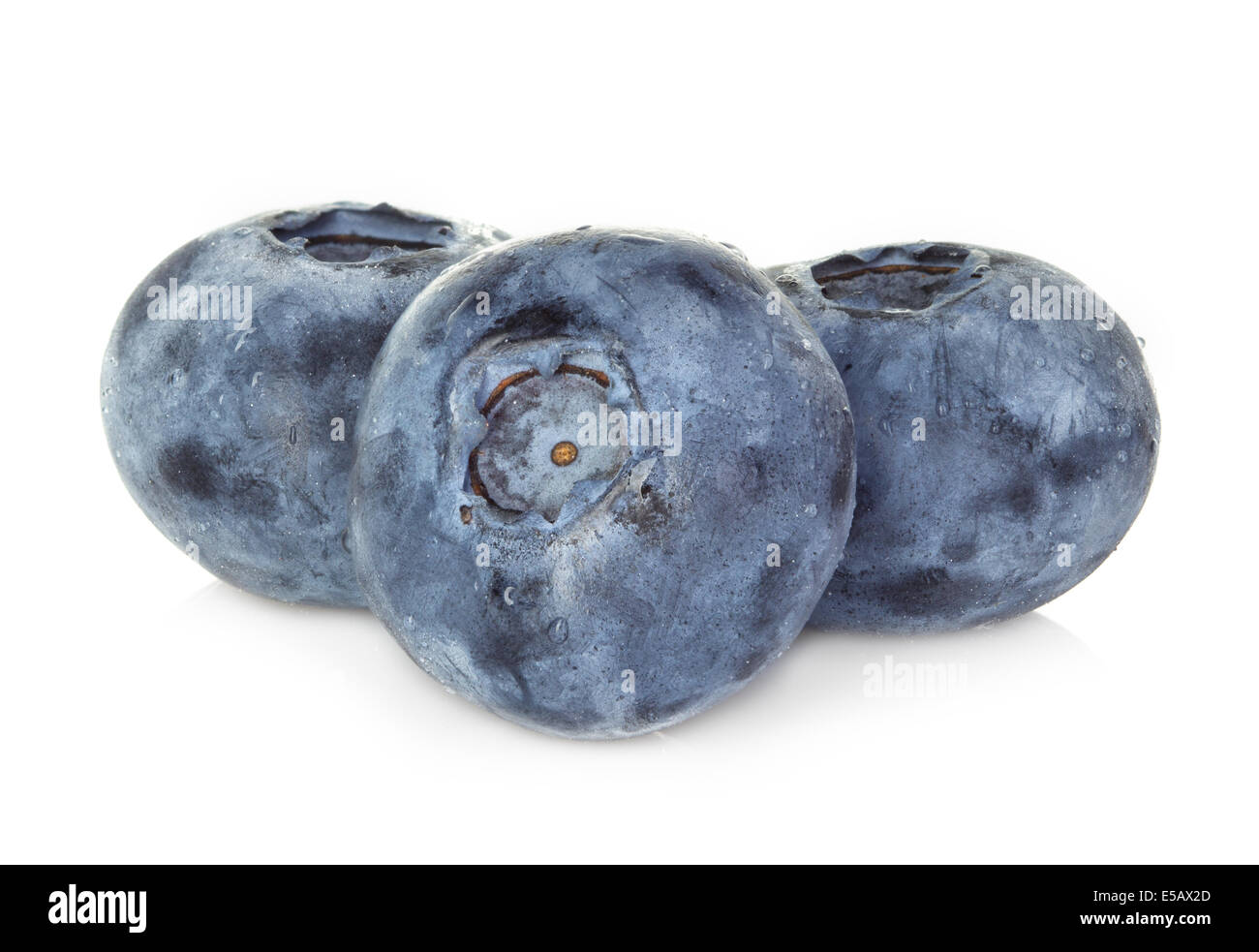 blueberries isolated on white background Stock Photo - Alamy