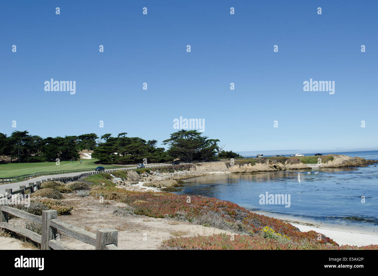 on the 17 mile drive, Pebble Beach, Monterey Peninsula California Stock ...