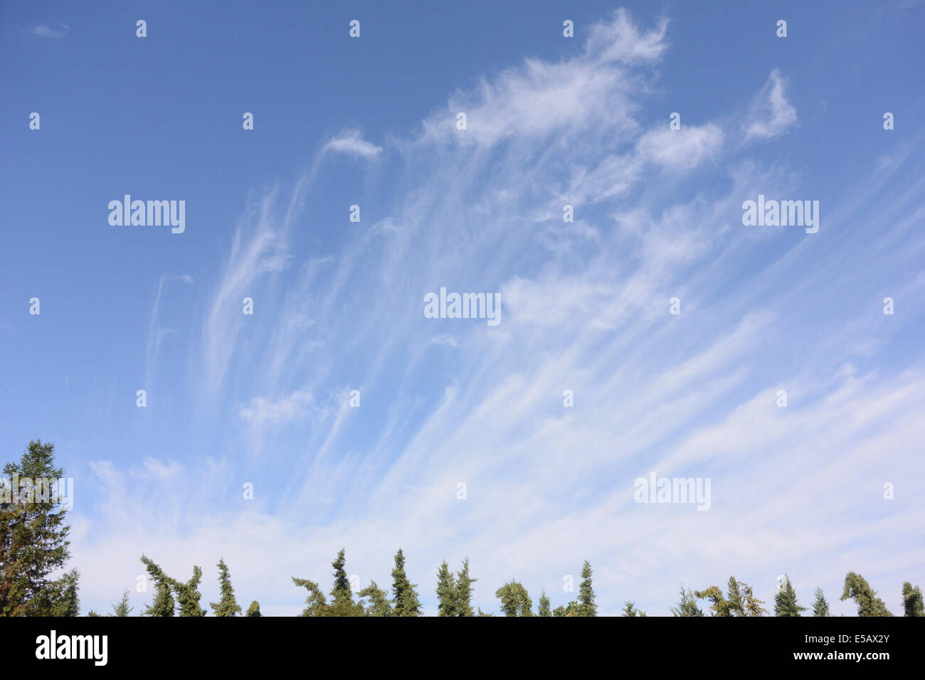 Cirrus cloud clouds hi-res stock photography and images - Alamy