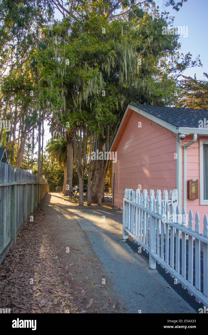 Pathway leading to the Monarch Butterfly Sanctuary, Pacific Grove ...