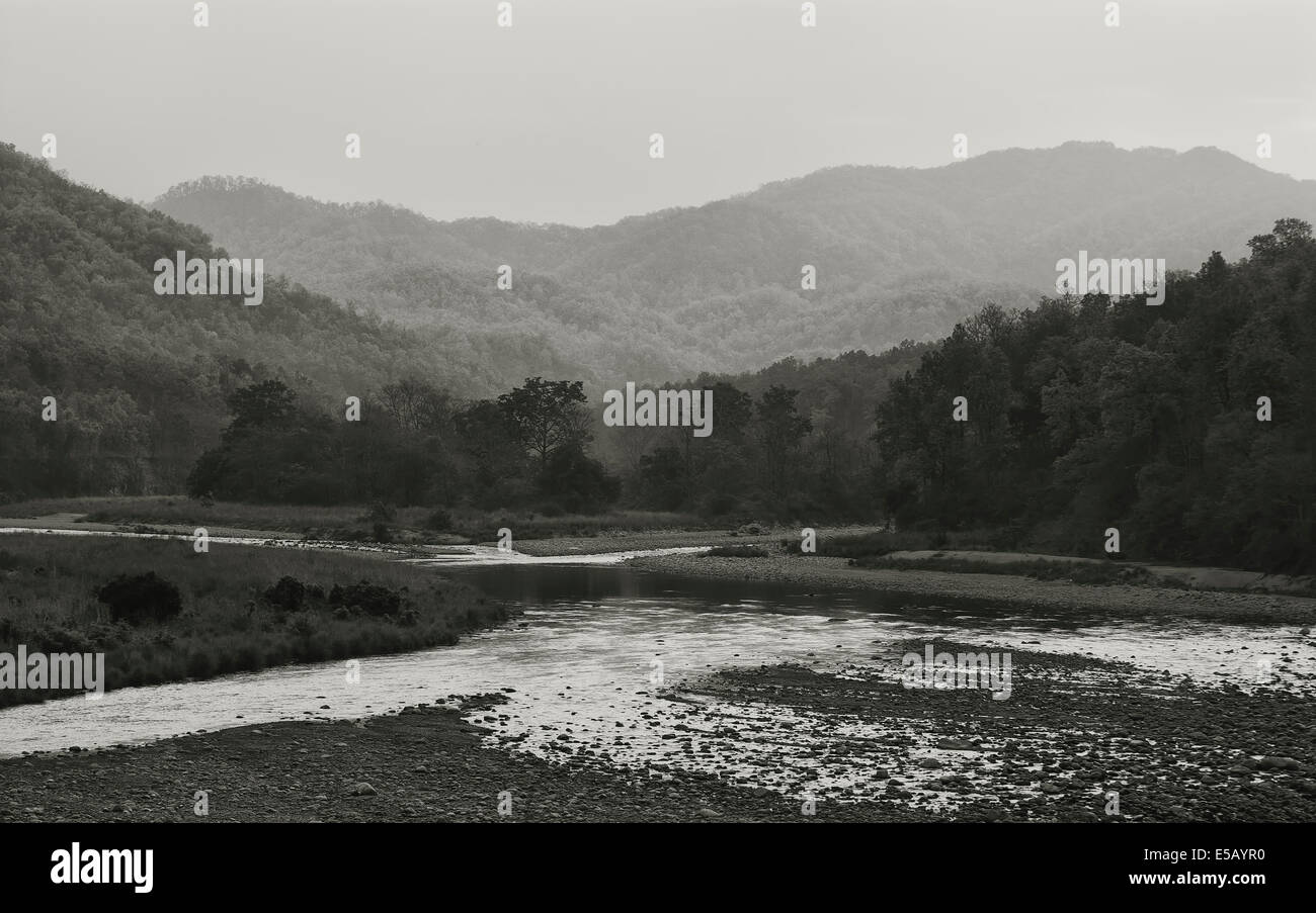 Corbett National Park Stock Photo - Alamy