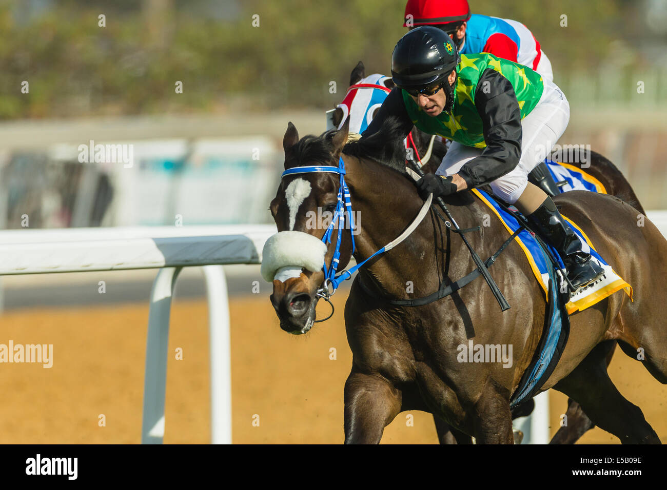Horse racing jockeys closeup running action photo Stock Photo - Alamy
