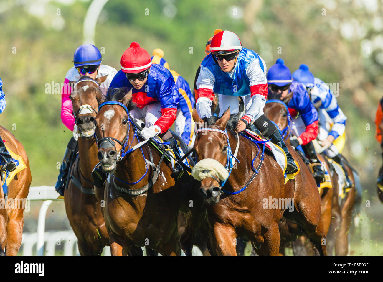 Horse racing jockeys closeup running action photo Stock Photo - Alamy