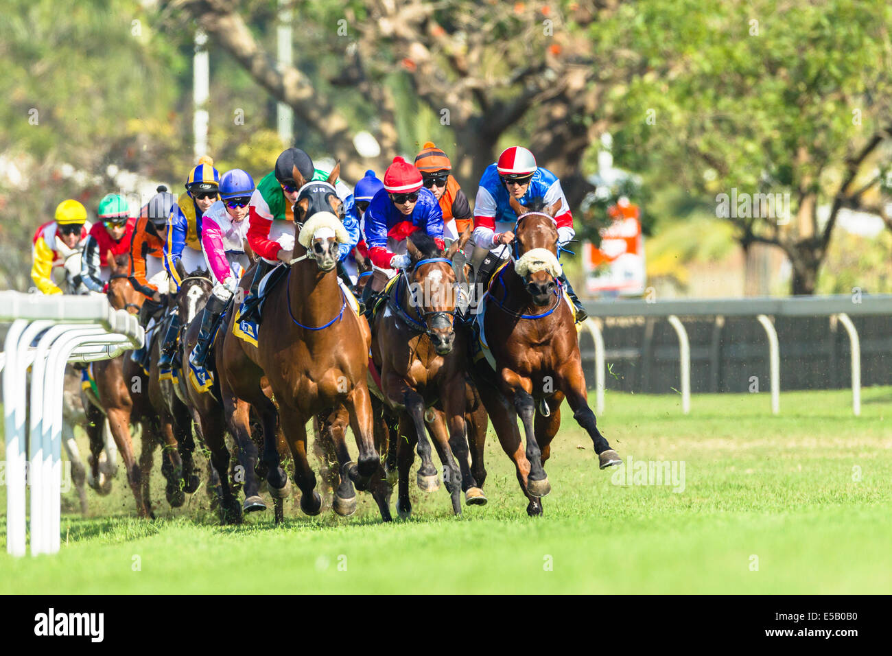 Horse racing jockeys closeup running action photo Stock Photo - Alamy