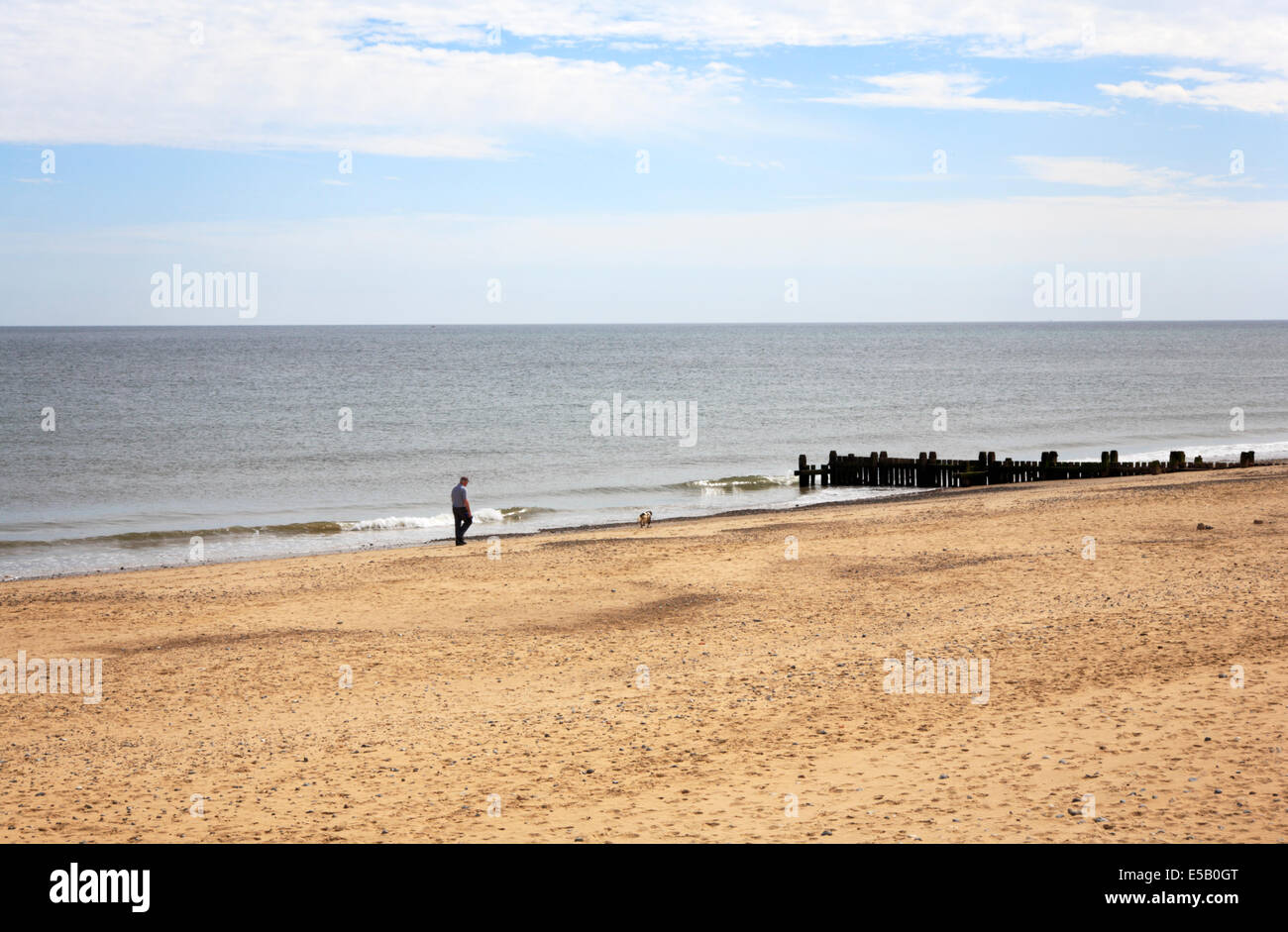 A man and dog walking on the beach at Cart Gap, near Happisburgh ...