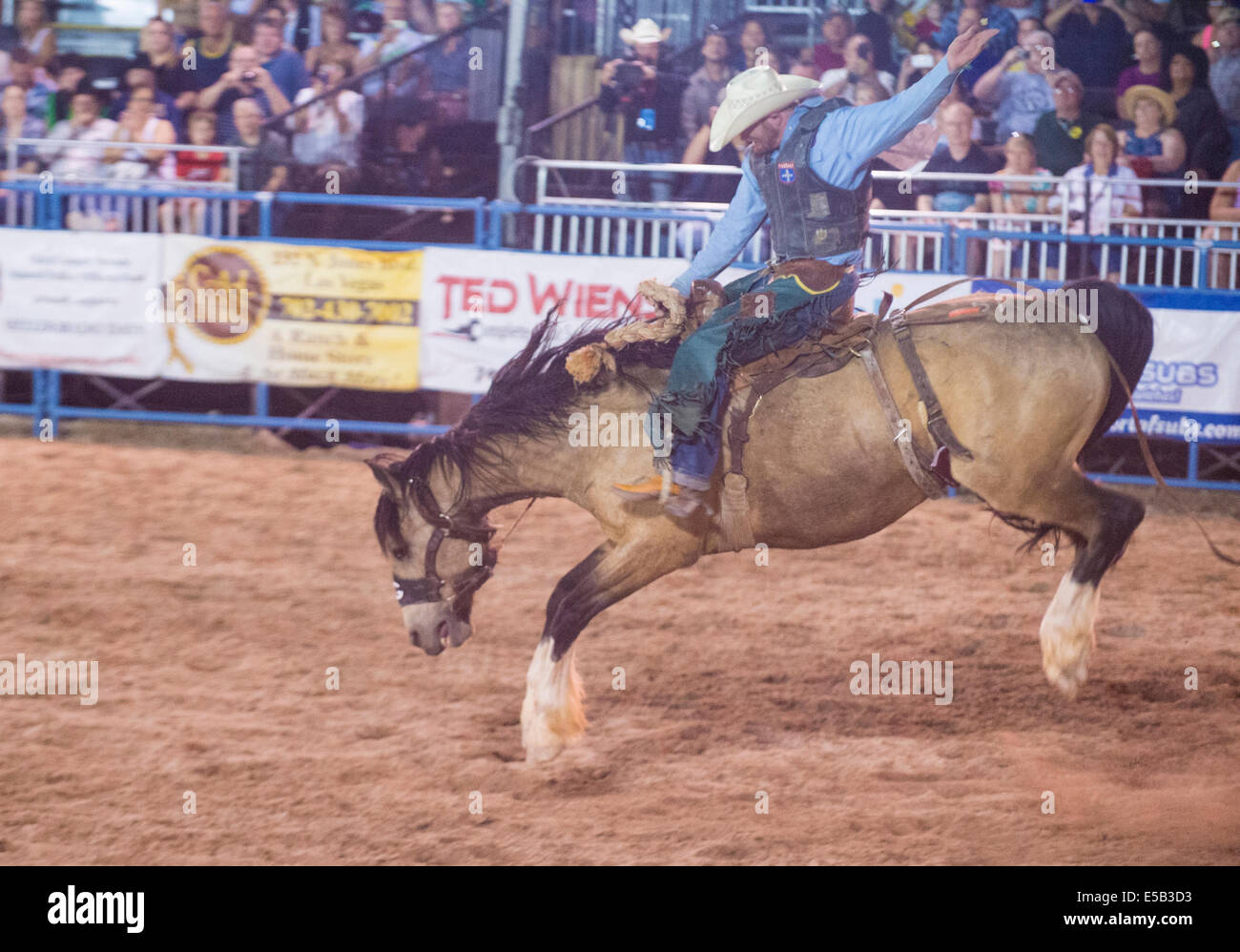 Cowboy Participating in a Bucking Horse Competition at the Helldorado ...