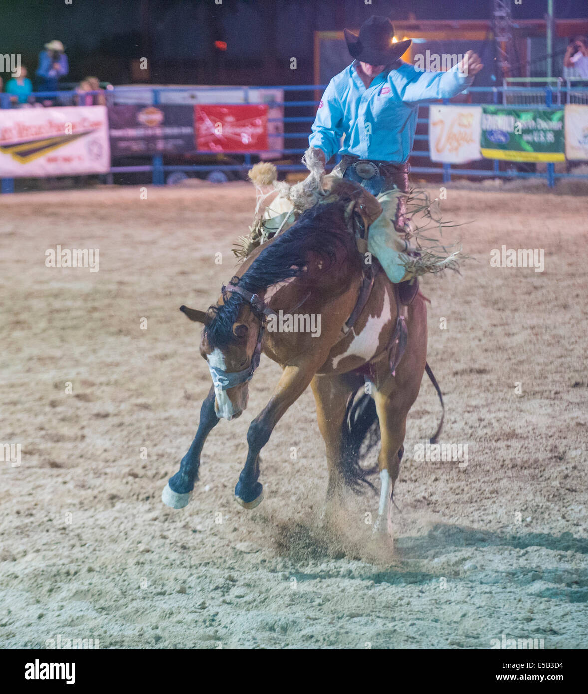 Bucking horse cowboy hi-res stock photography and images - Alamy