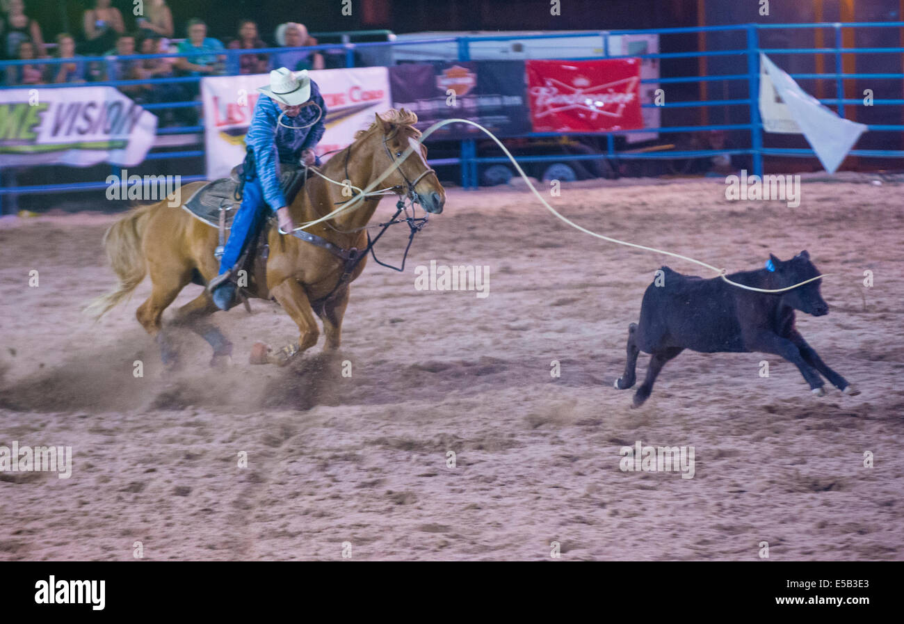 Cowboy Participating in a Calf roping Competition at the Helldorado ...