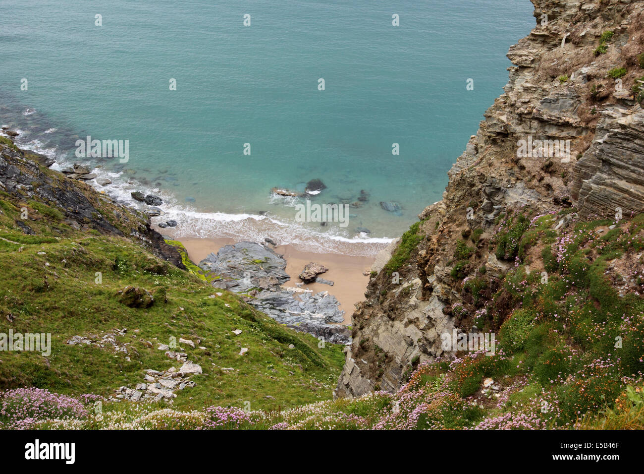 Coastal path between Tintagel and Treknow Stock Photo - Alamy
