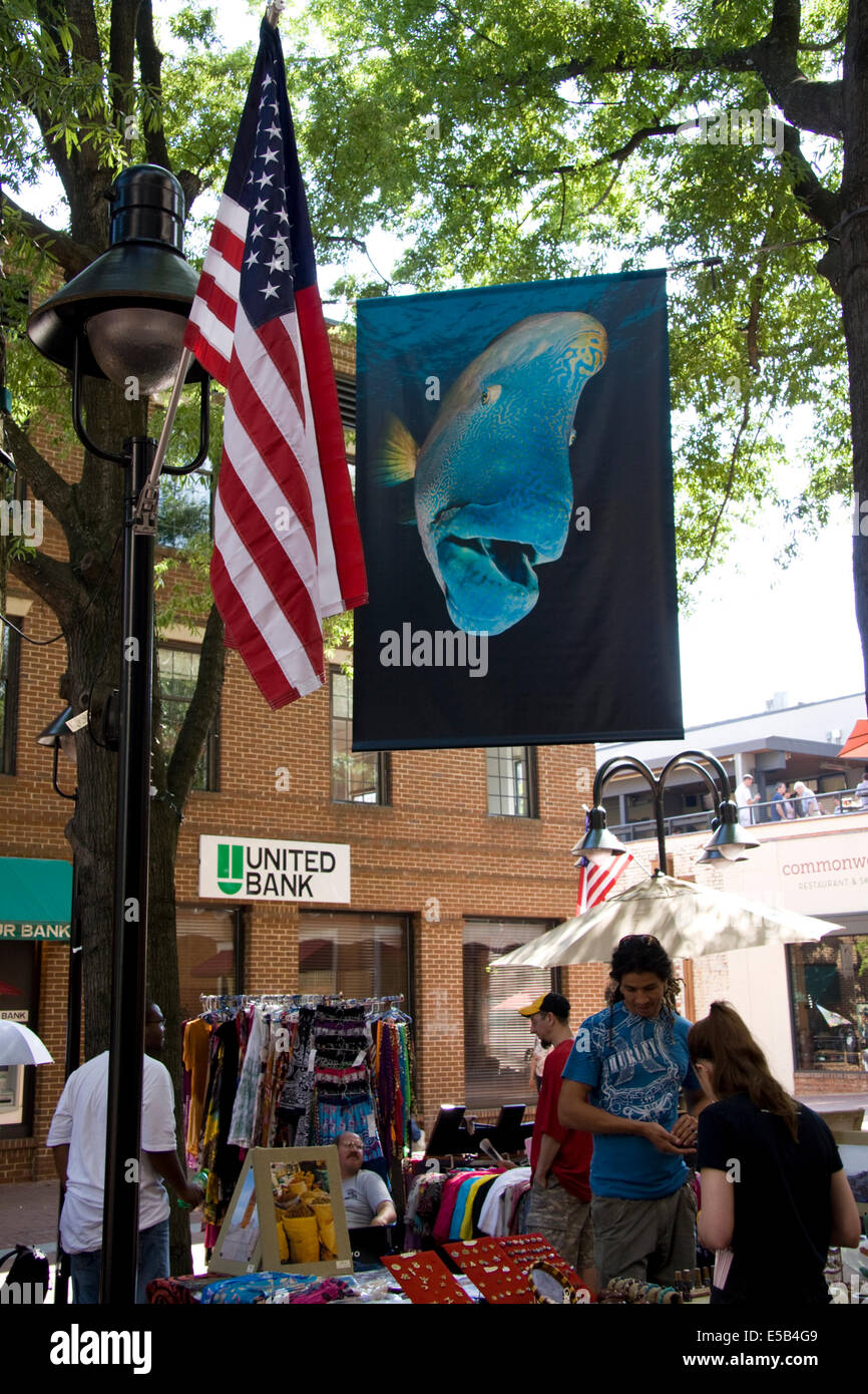 Charlottesville virginia downtown hi-res stock photography and images ...