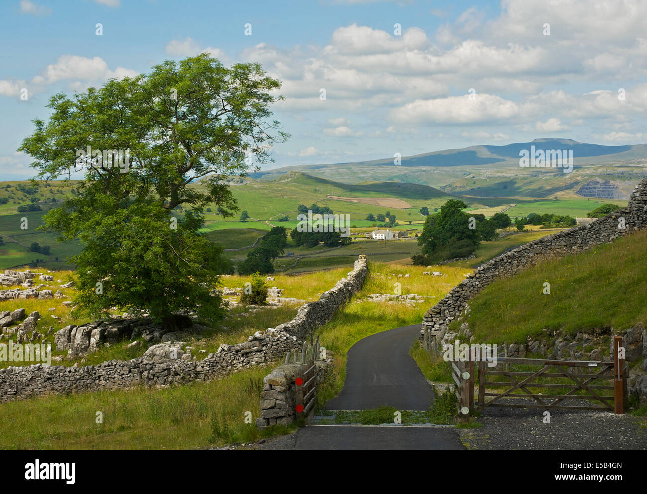 Limestone landscape - Winskill Stones - Yorkshire Dales National Park ...