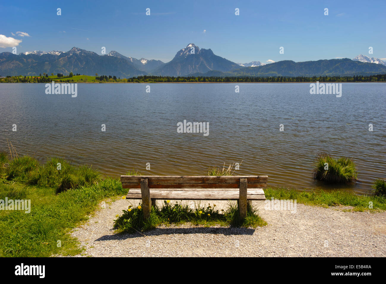 wide panorama landscape in Bavaria with lake Hopfensee and alps ...