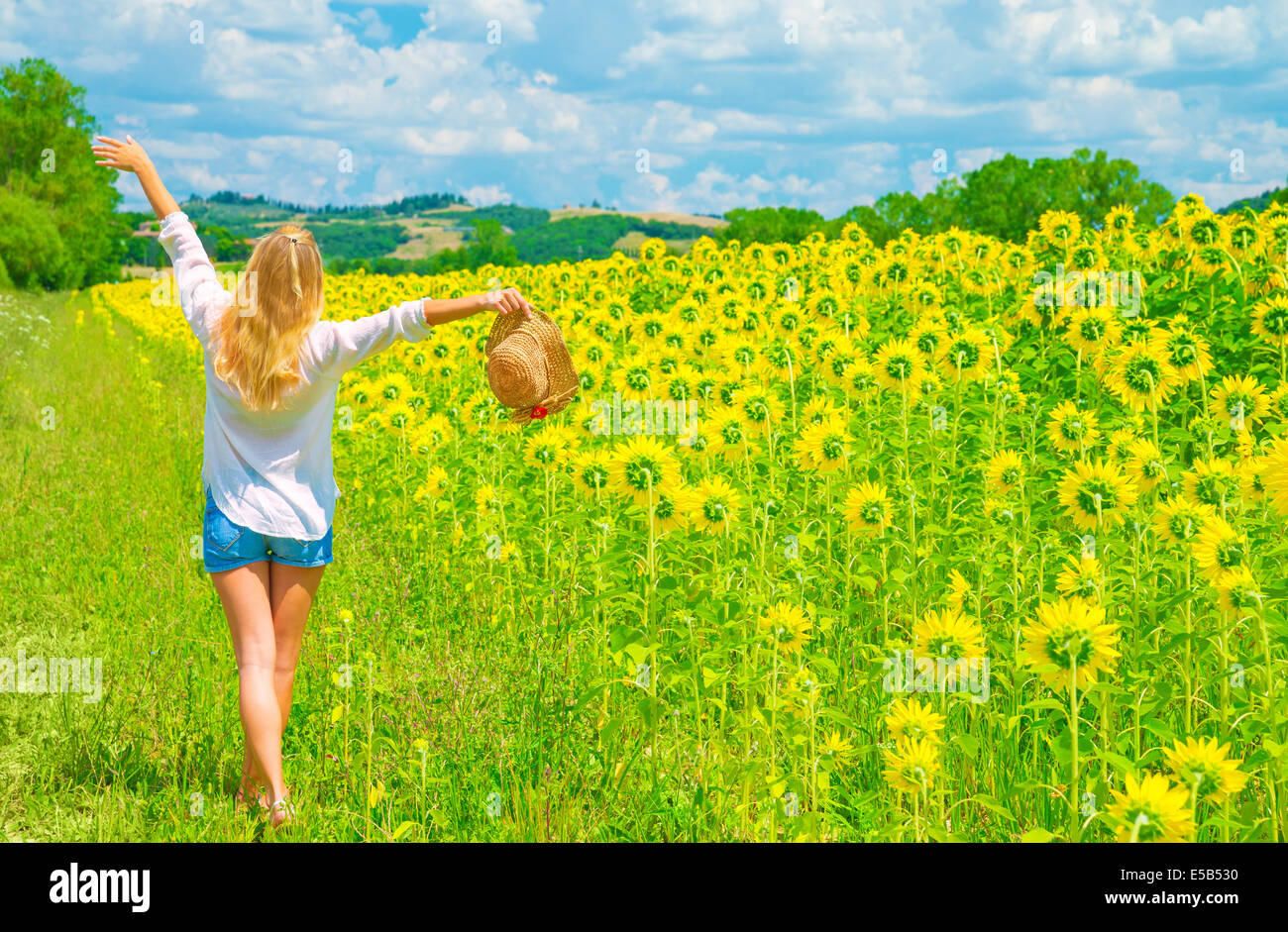 Happy woman walking on sunflower field in sunny day, raised up hands ...