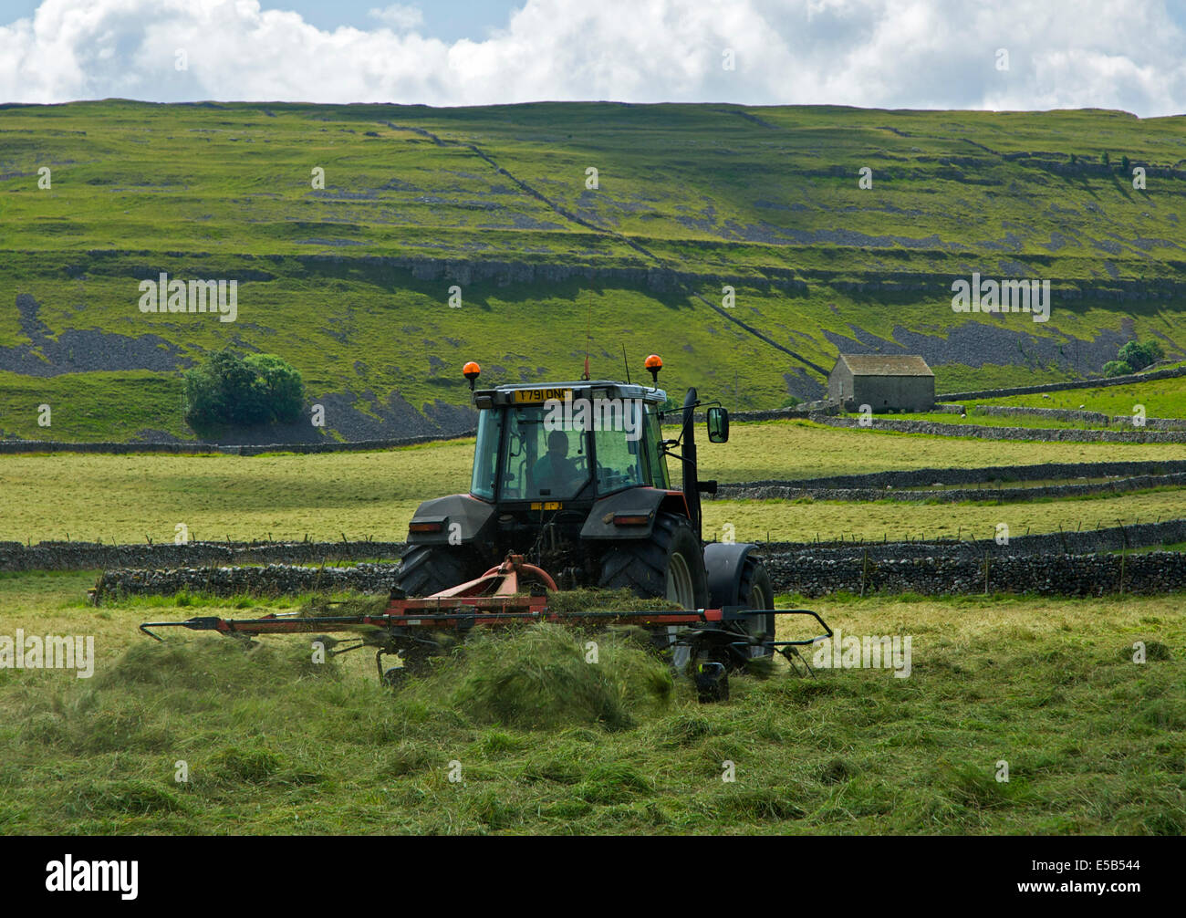 Hay-making in Littondale, Yorkshire Dales National Park, North ...