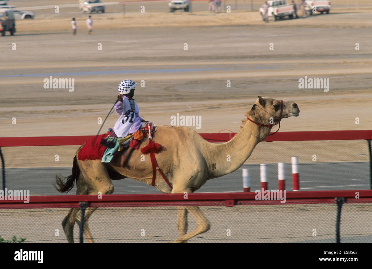 UAE, Dubai, Camel racing Stock Photo - Alamy