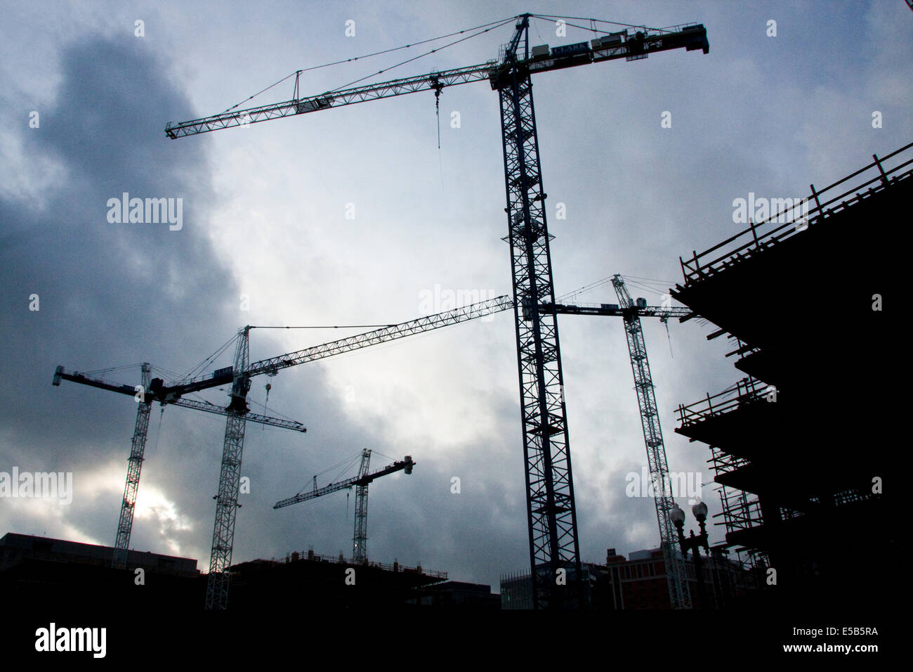 Forest of cranes, Washington DC Stock Photo - Alamy