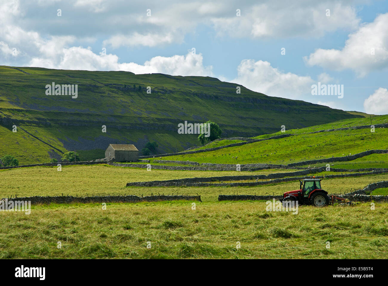 Hay-making in Littondale, Yorkshire Dales National Park, North ...